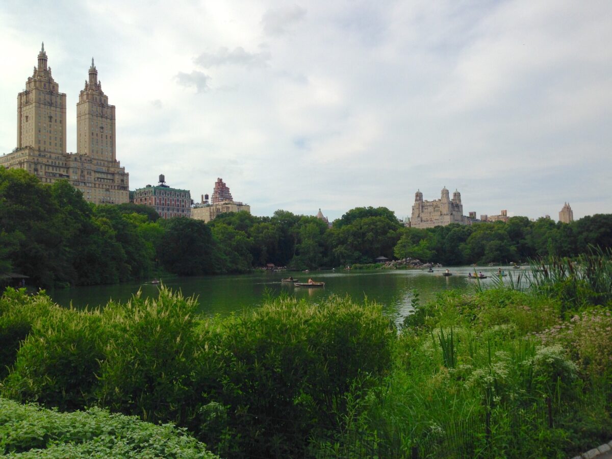The History of Central Park | CHOEL HOUSE